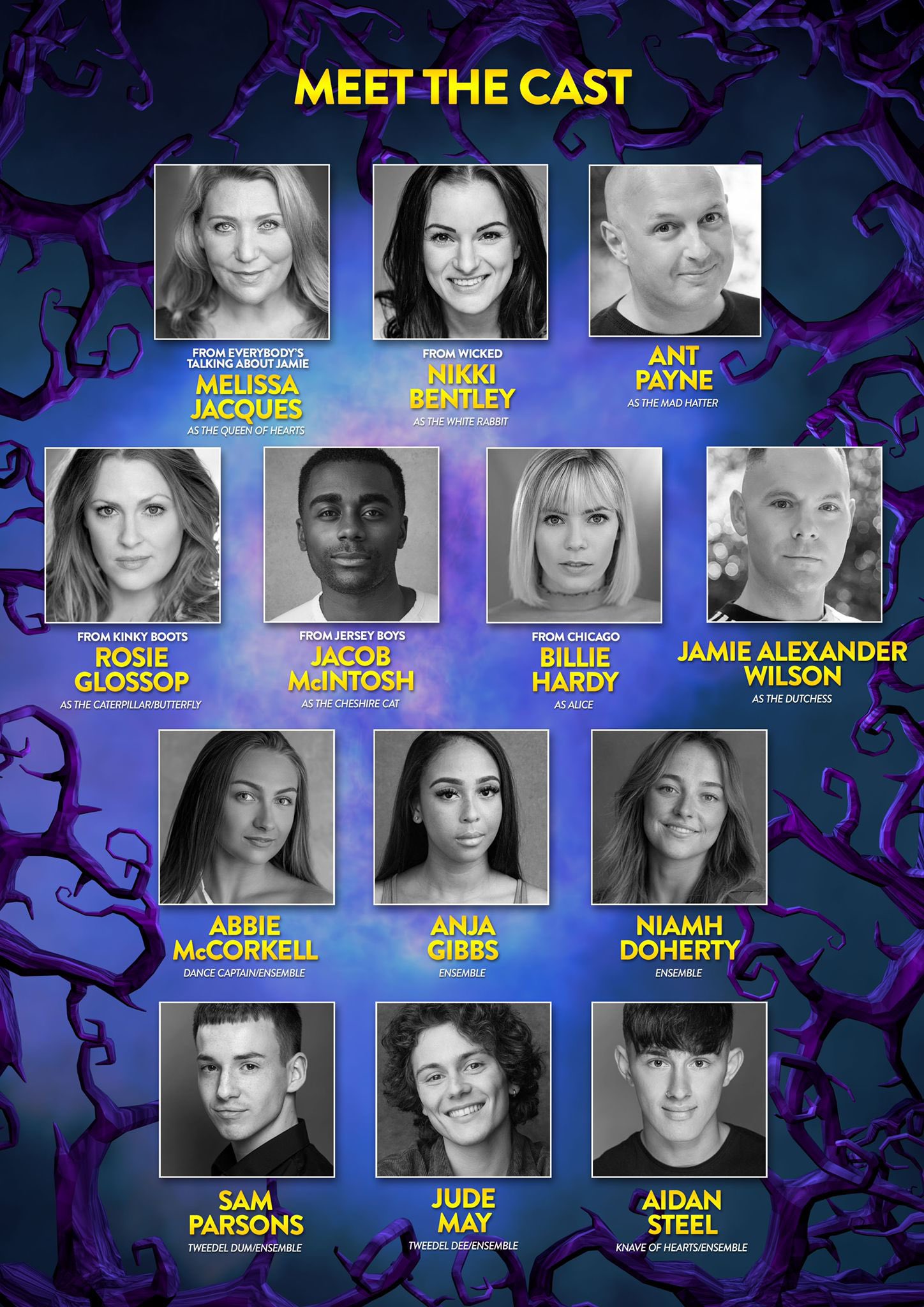 Simon Sladen on Twitter: "CONFIRMED: Full cast announced for @StagSevenoaks 2022 #panto Alice in ...