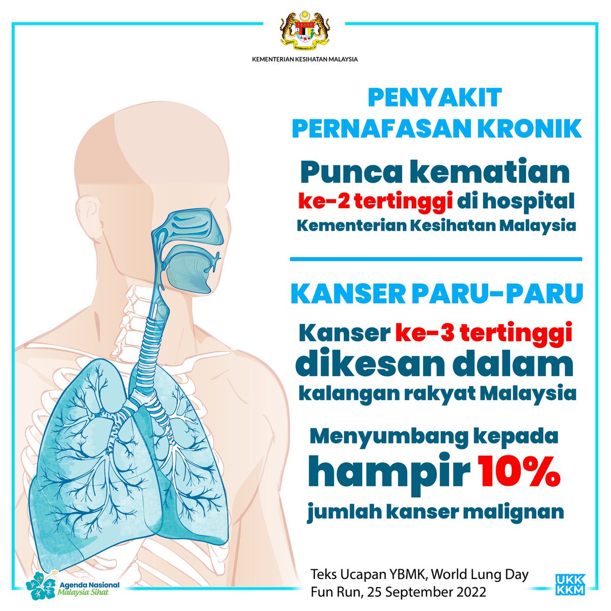 KKMalaysia🇲🇾😷 on Twitter: "Paru-paru 🫁 adalah organ pernafasan yang penting kepada tubuh manusia ...
