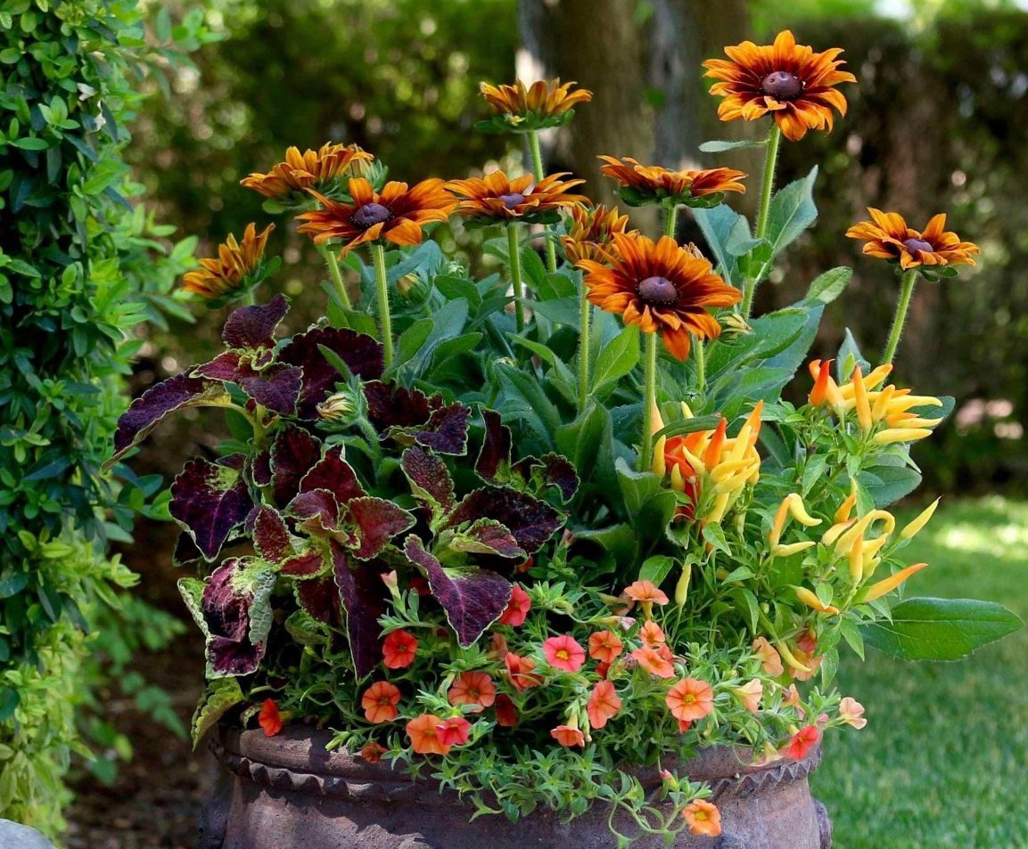 Olya on Twitter: "https://t.co/jN2X3bq3KD" / Twitter