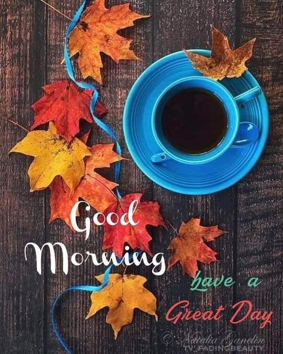 Fatima Moha on Twitter: "@koishakknahi 🌹🎀🌹 https://t.co/DUca8g9F9R" / Twitter