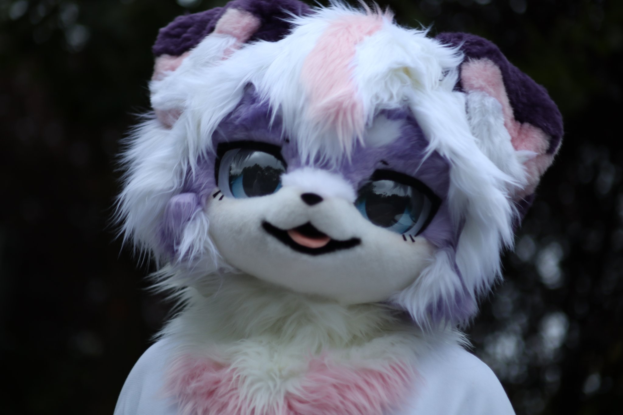 Doki on Twitter: "小声密谋 https://t.co/minuawsaqG" / Twitter