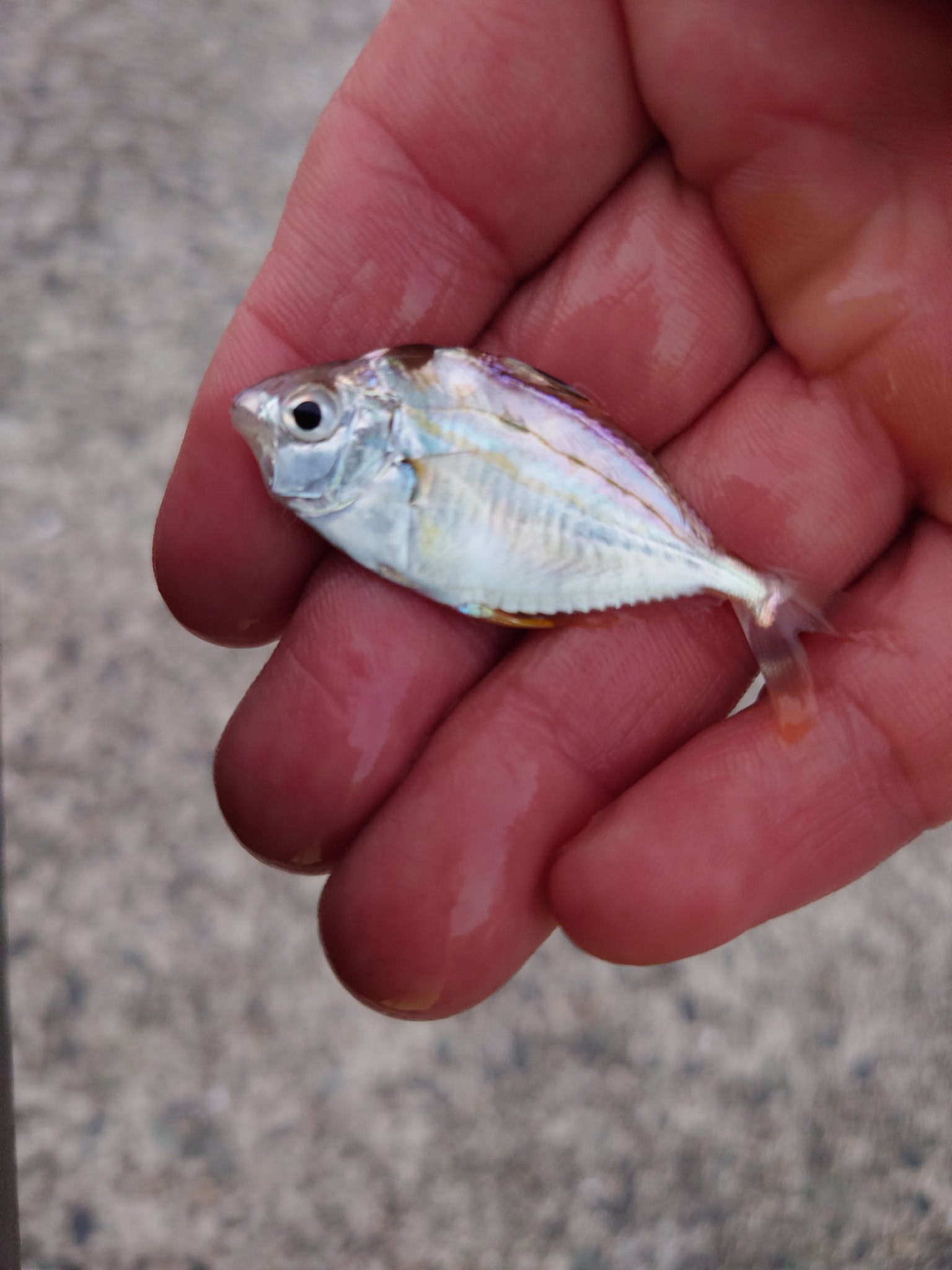 YuiRi ♡オシリス on Twitter: "お姉さんワンピ🥰更新したよ🫡 https://t.co/N3q900ceng https://t.co/RfIQQ6nBPx" / Twitter