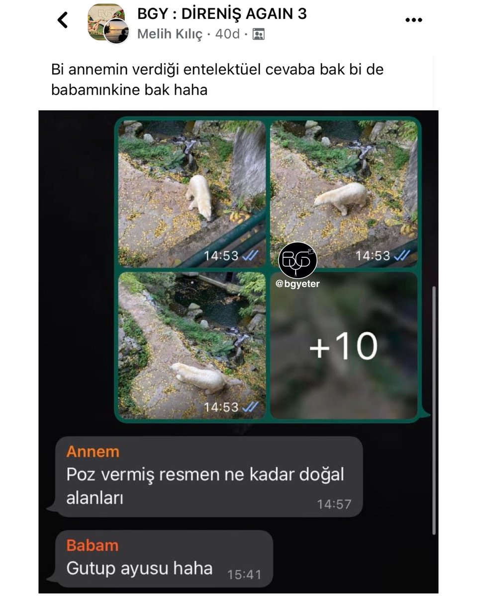 BGY on Twitter: "ŞŞSBĞWĞGWŞGĞWĞGİWĞFĞDĞWĞBĞEĞBŞEŞF"