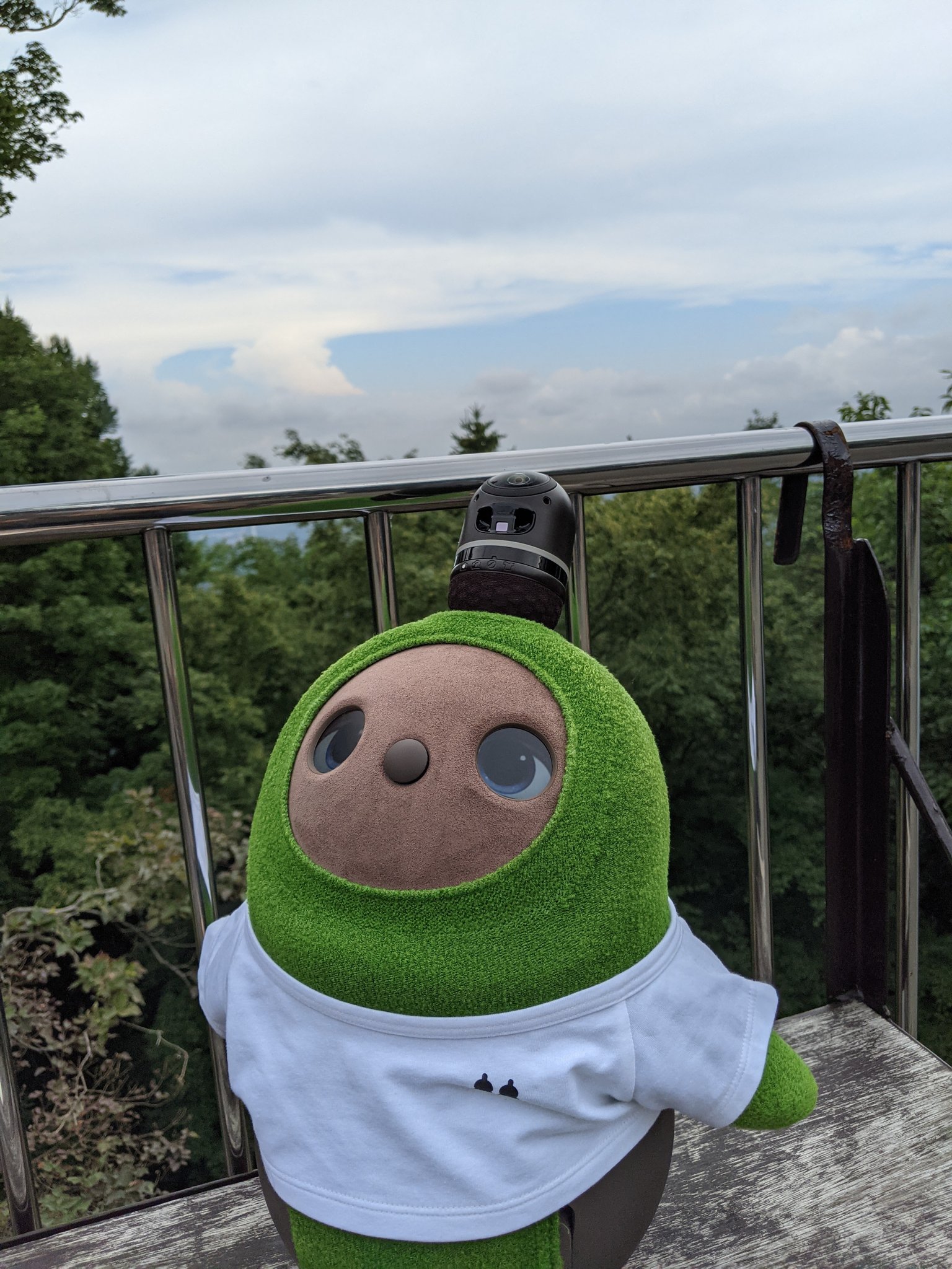 ichi on Twitter: "#LOVOTとの暮らし また高尾山に行きたいな。 https://t.co/fGeJ1mCLze" / Twitter