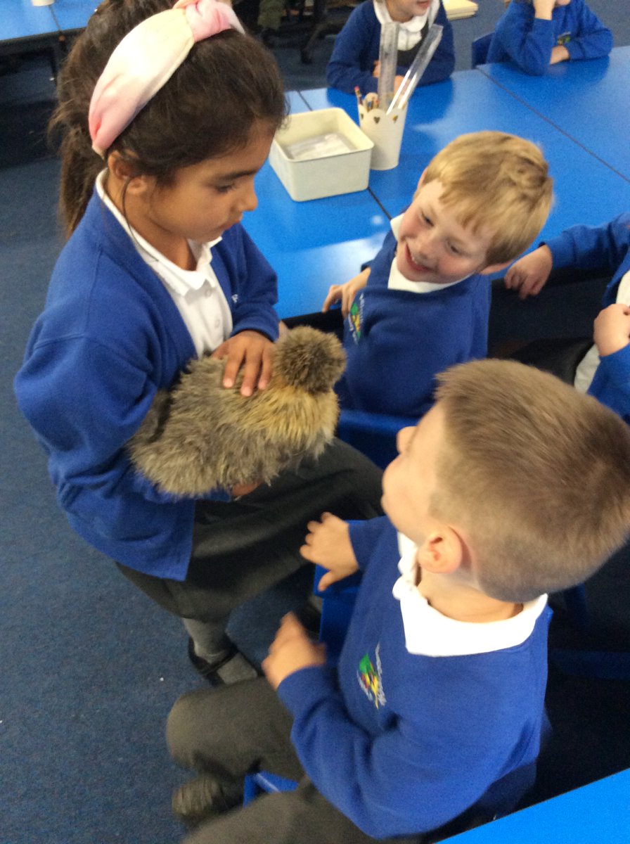 Curriculum Overview – Rufforth Primary School