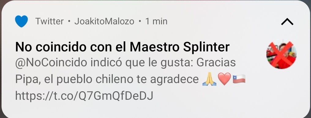 BRUNO FERNANDES TEA CULIAO 🤭 on Twitter: "Maestro Splinter cuentas del carajo https://t.co ...