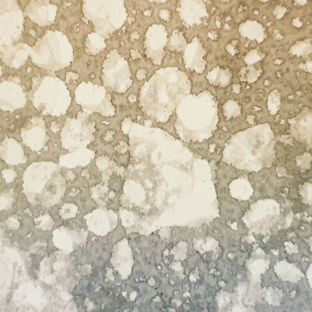 Amy Letts (@amuletts) さんのイラスト・マンガ作品まとめ (20 件) - Twoucan