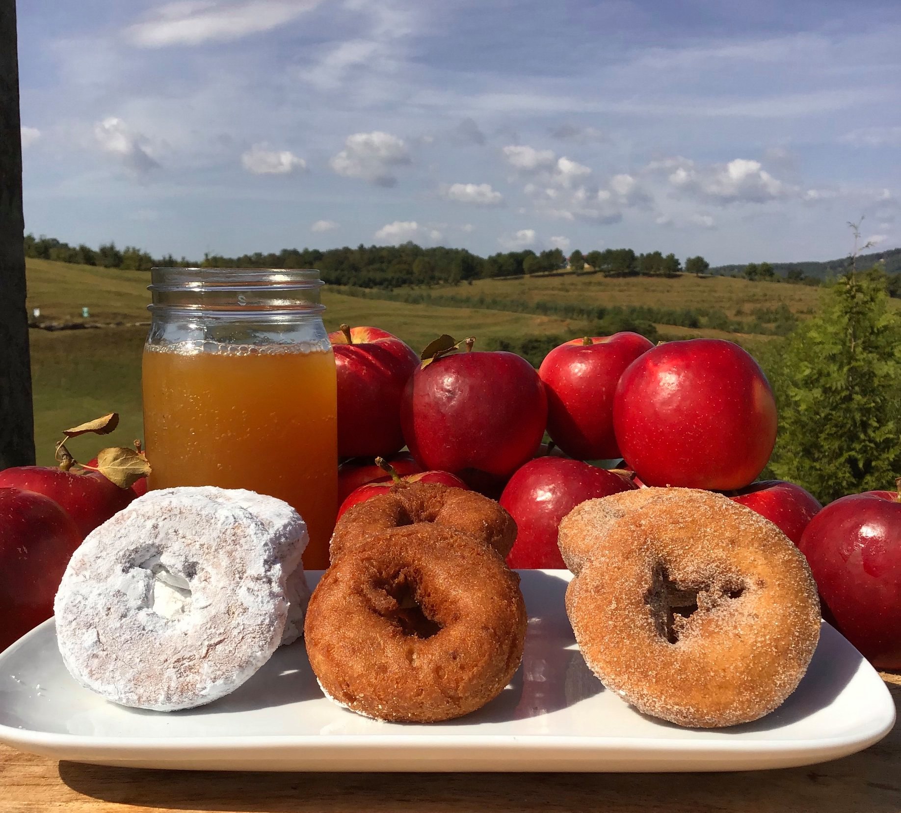 N. Christine Samuelson (@ncsamuelson) / Twitter