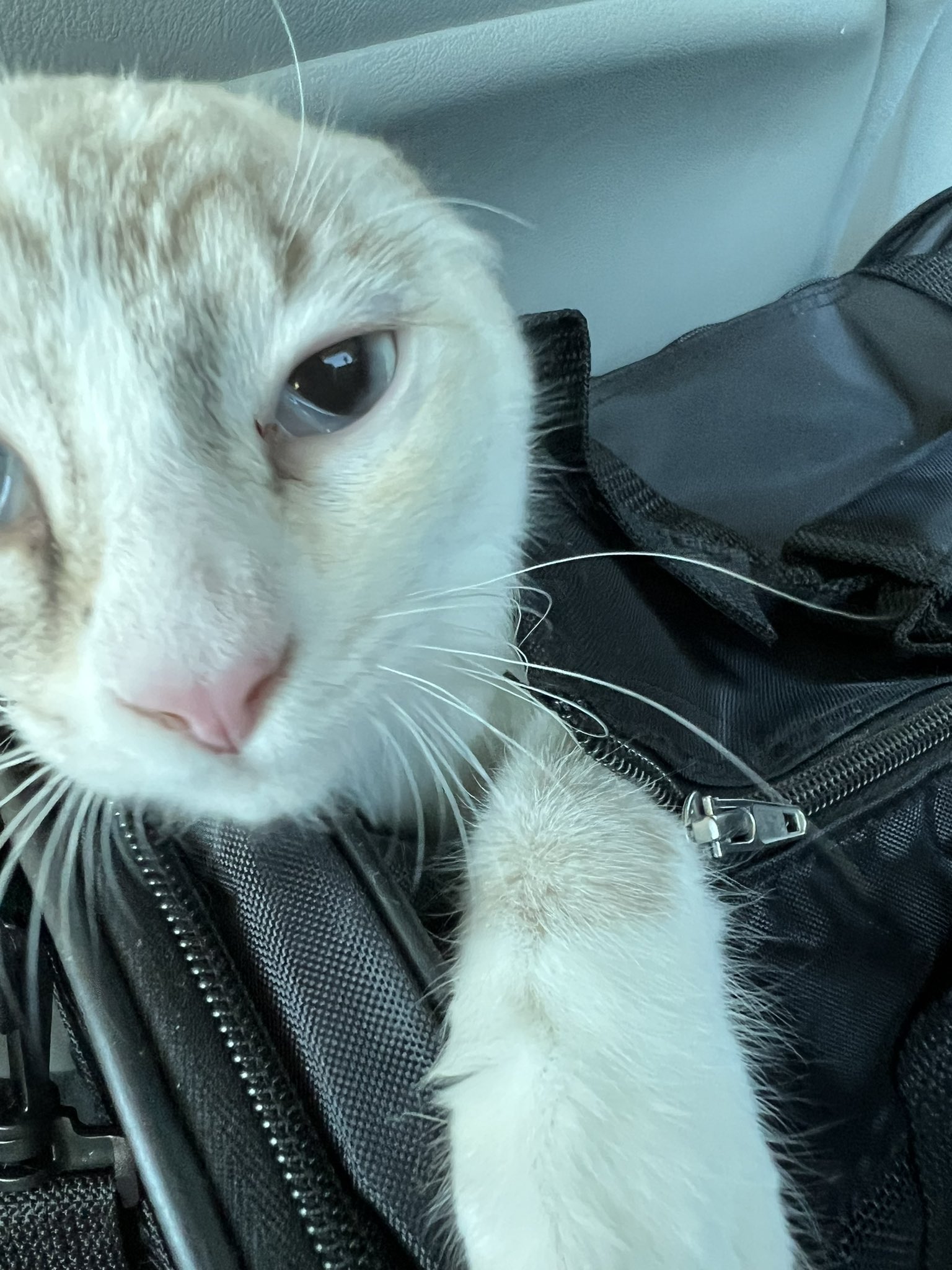 Weegee on Twitter: "she coming https://t.co/Tqoh7s6CMM" / Twitter