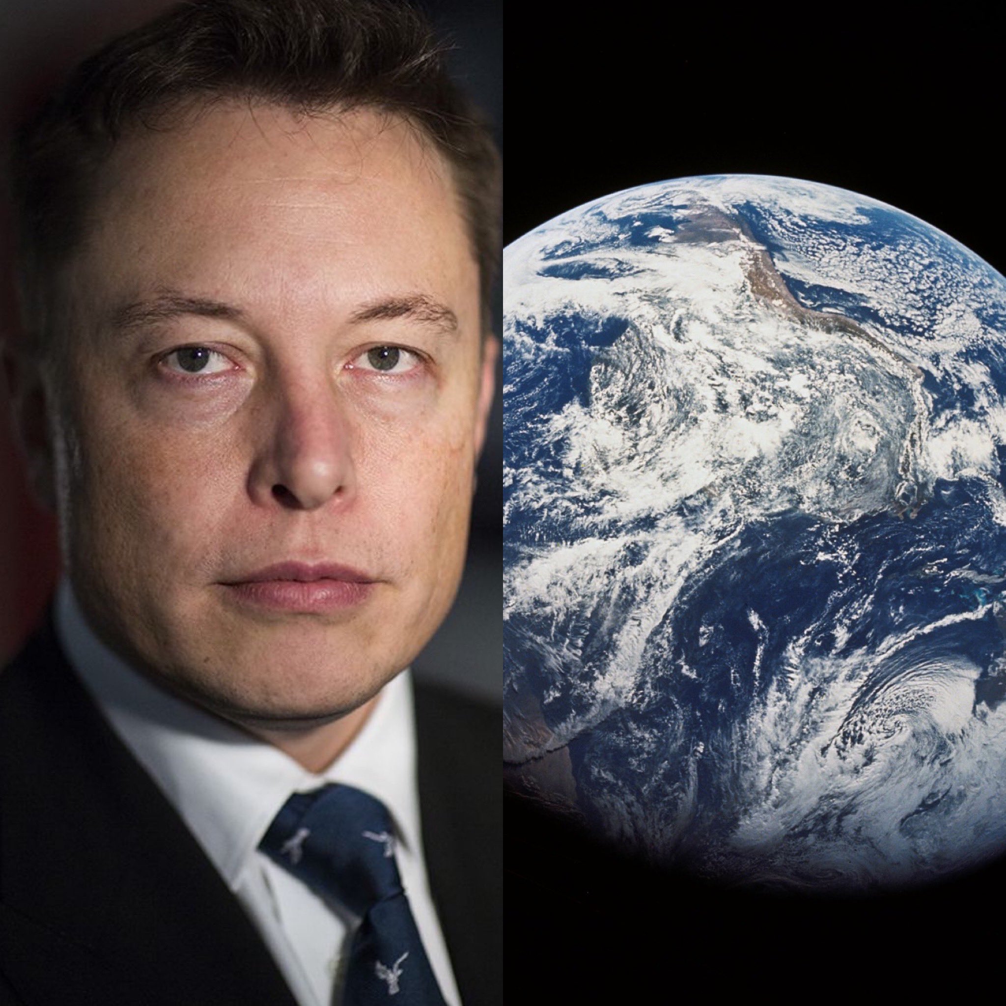 Cerebros on Twitter: "El multimillonario Elon Musk compartió este lunes en Twitter sus ideas ...