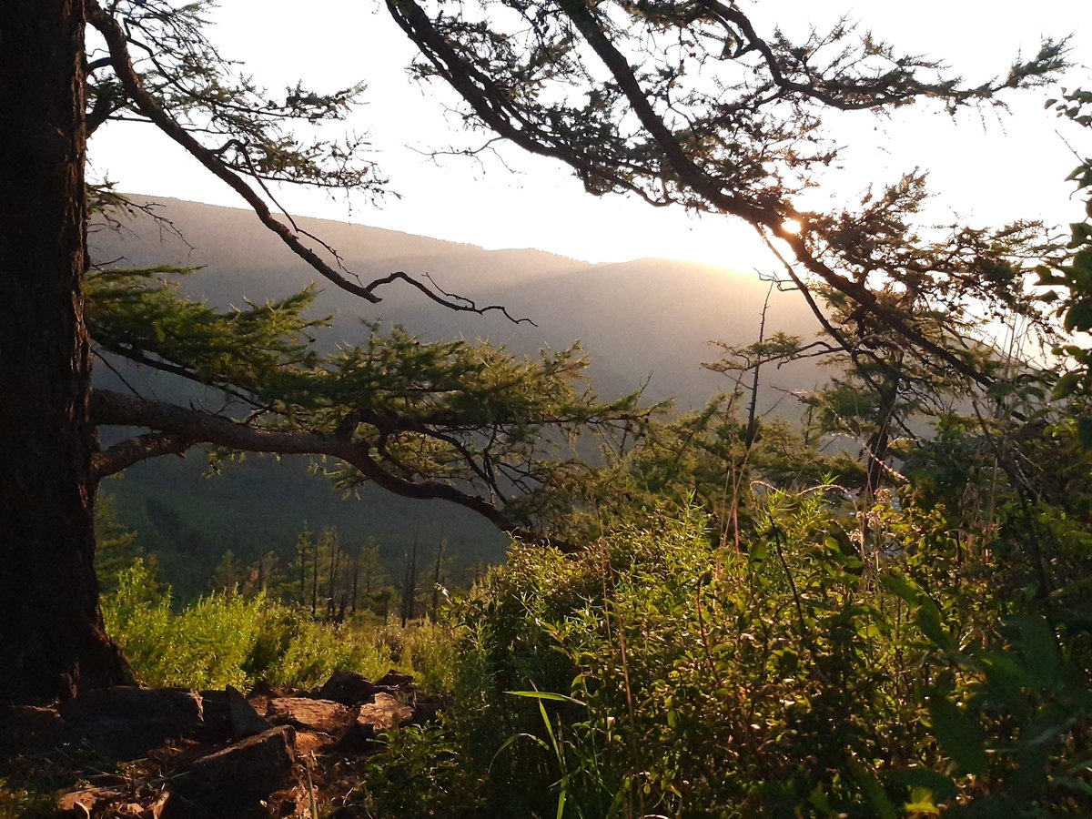 Уянга Ц On Twitter Өглөөний мэндээ зүүн оргил зүүдлээд сэрлээ 😝 энэ гэхдээ оройны зураг 🤩