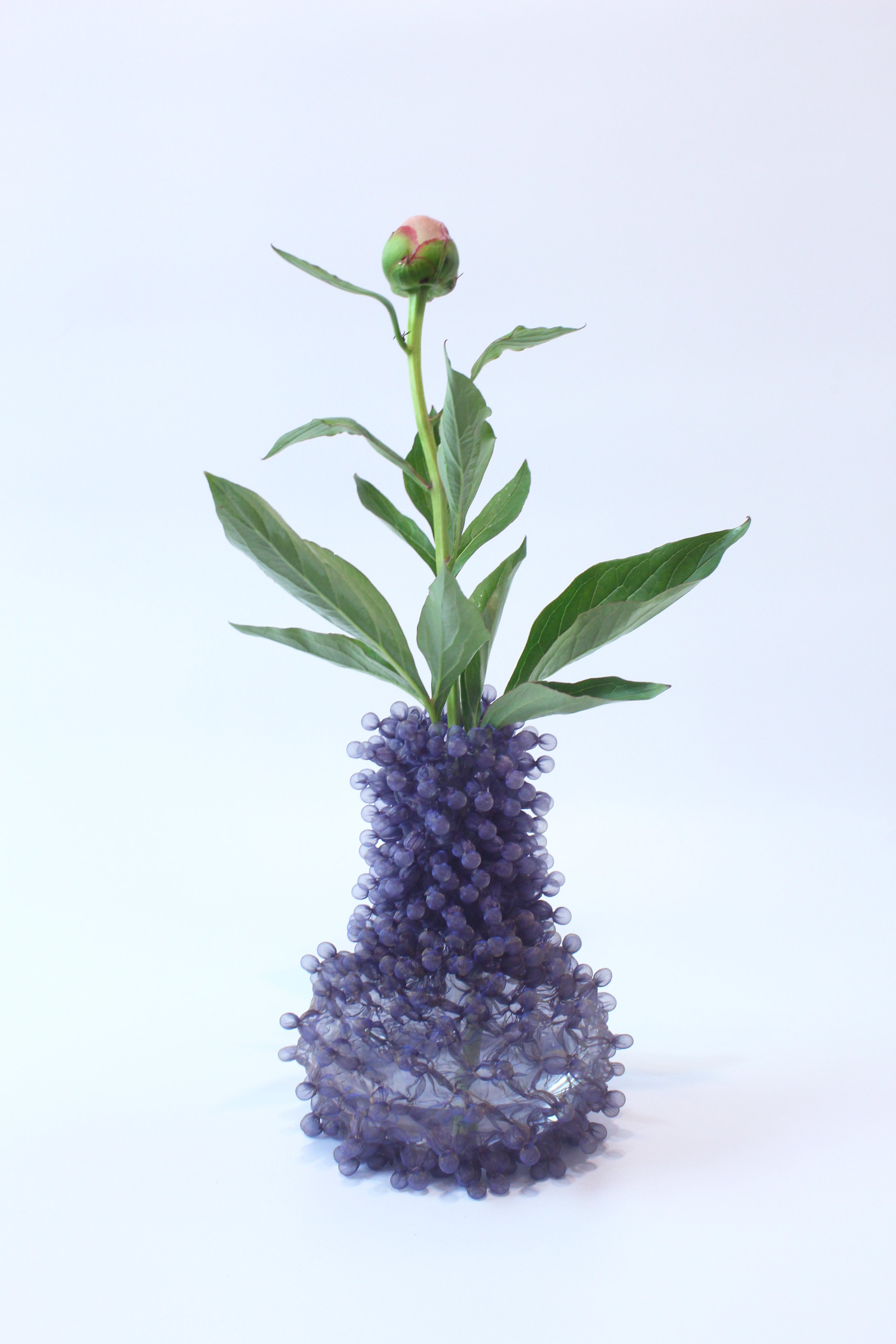 haconiwa 10/22-23イベント開催 on Twitter: "参加クリエイターを紹介します！ Textile artist 清水美於奈さん スーパーのフラワーコーナーになぞらえた ...