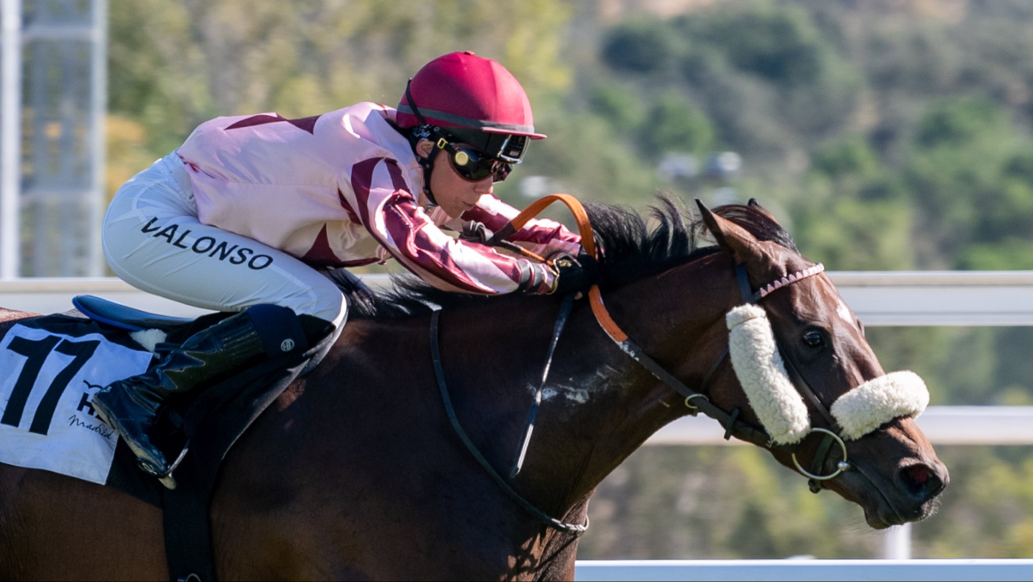 A Galopar on Twitter: "“La entrevista en A Galopar dejó claro que @vickyaloonso estaba sufriendo ...