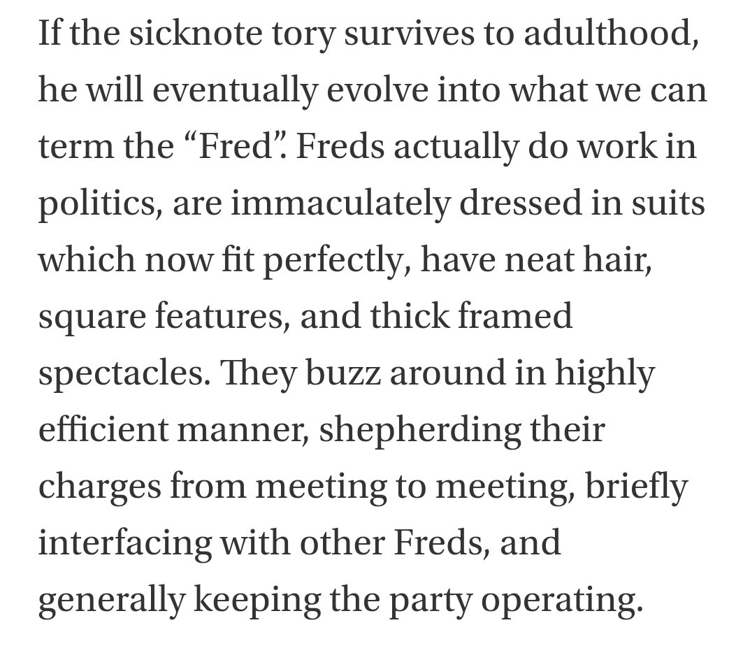 Sam Ashworth-Hayes on Twitter: "The Freds: https://t.co/67WRaJschl" / Twitter