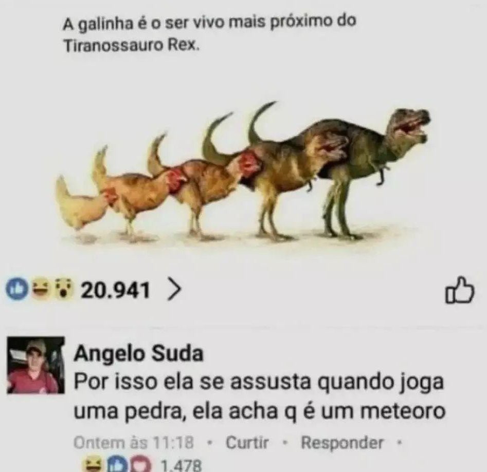 Shitpost só que de verdade on Twitter: "https://t.co/eyeW5Gxgnw" / Twitter