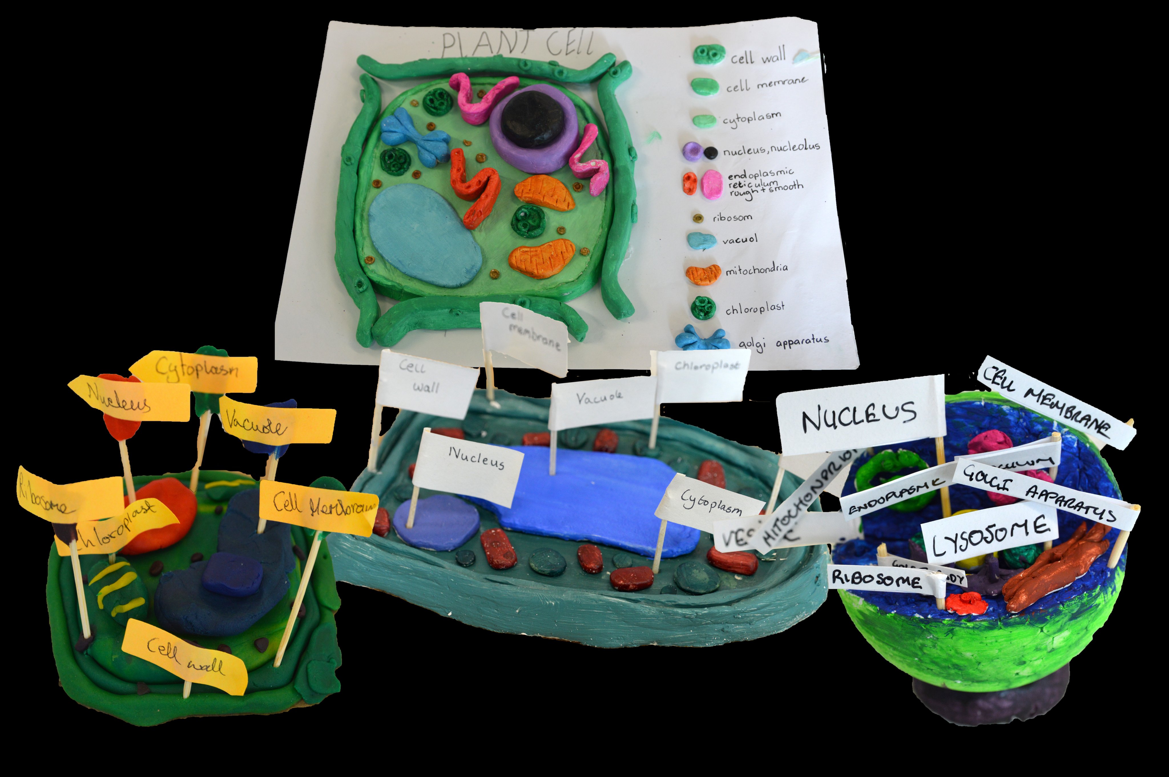 The Wavell School on Twitter: "Year 7 have created some wonderfully ...