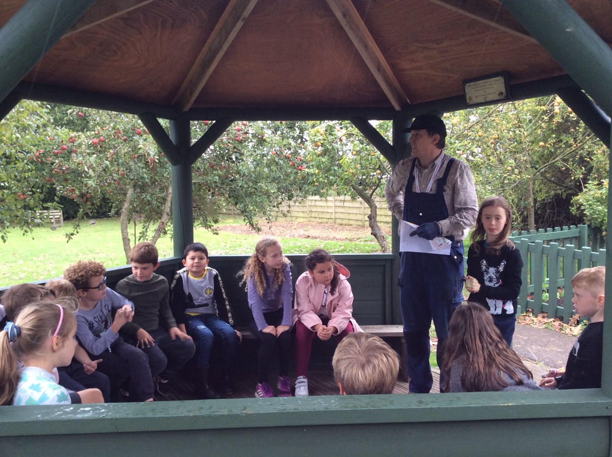 Curriculum Overview – Rufforth Primary School