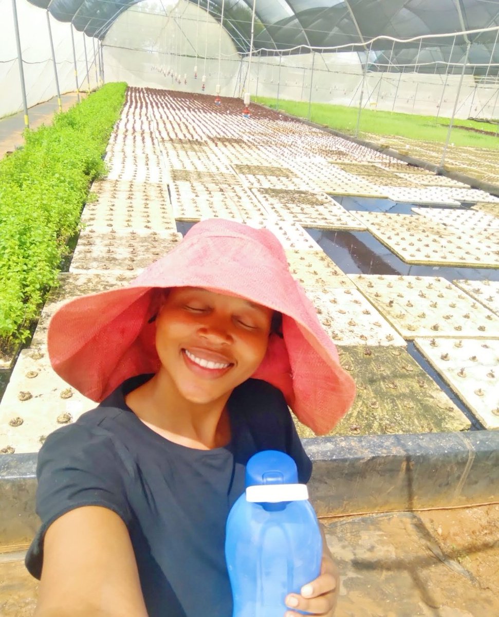 100 square metre room can produce as much yield as almost half a ...