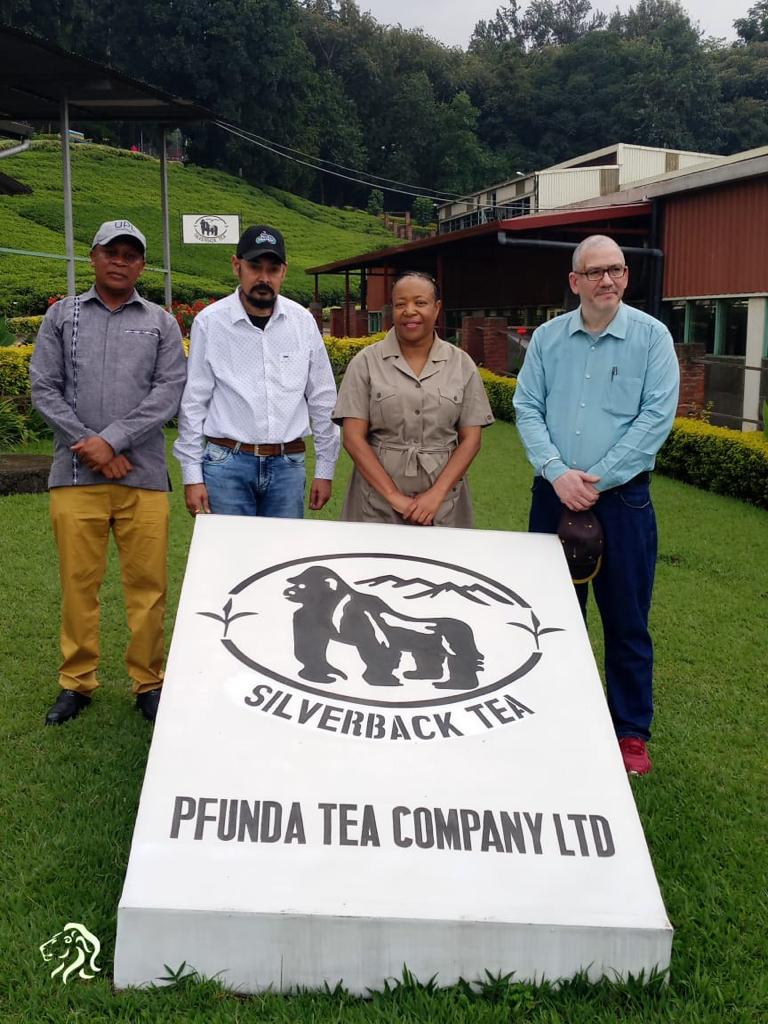 PROF CHARITY MANYERUKE on Twitter: "had a great learning experience today at Pfunda Tea Company ...
