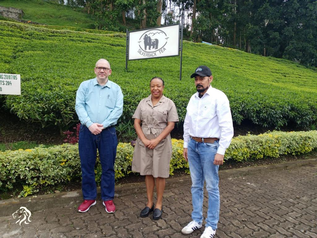 PROF CHARITY MANYERUKE on Twitter: "had a great learning experience today at Pfunda Tea Company ...