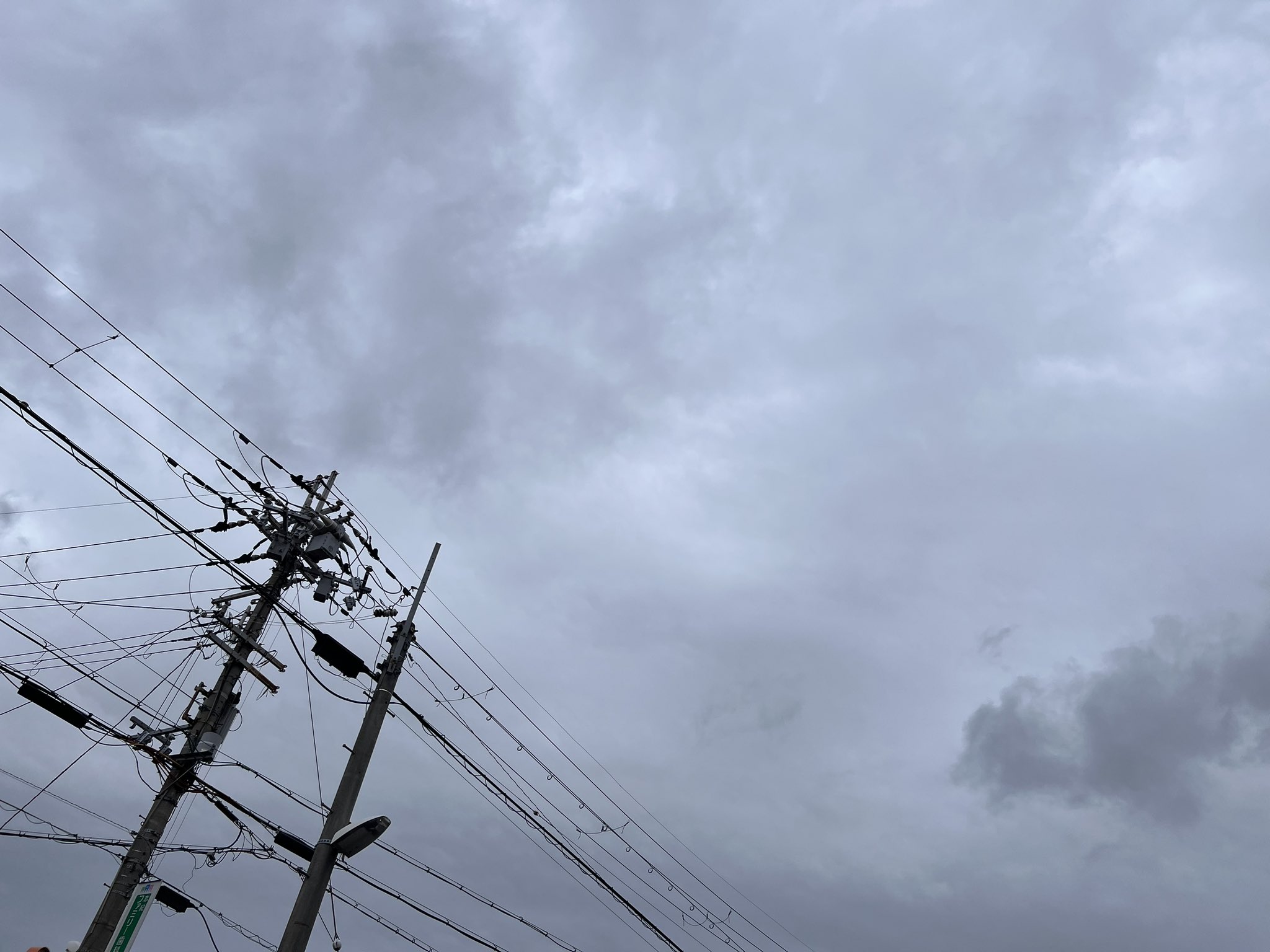 あききみ On Twitter おはようございます😊 雨上がり〜曇り〜😅 ホントに涼しくなりましたね 夜中に窓を閉めました💦 あまり写真が撮れなかったので 去年の今頃のを 引っぱってきまし