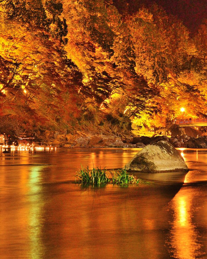 温泉ネコ on Twitter: "retrip_news: ひとり旅×秋の絶景。カメラ片手に出かけたい秋の絶景ひとり旅スポット12選 ️ https://rtrp.jp/articles ...