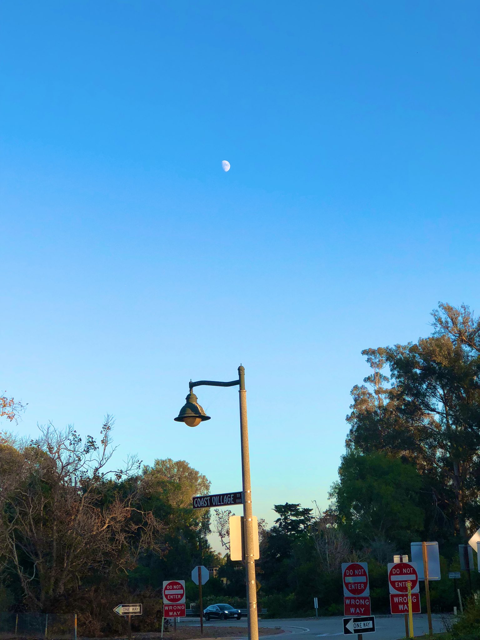 T.C. Boyle on Twitter: "The moon of the afternoon. https://t.co/tsPISQEXOi" / Twitter