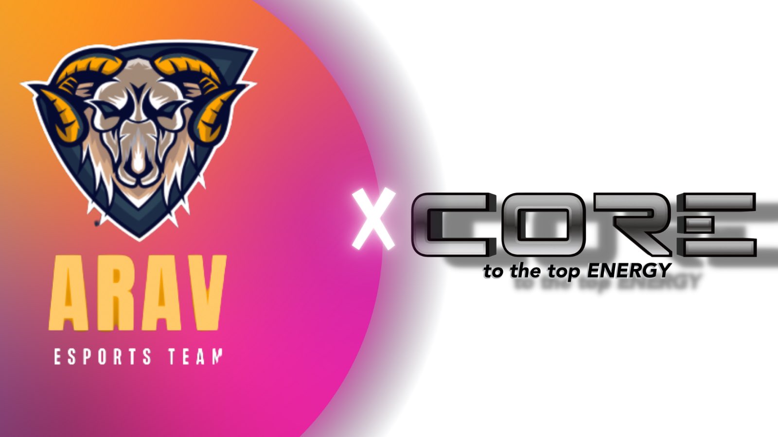 ARAV (@ARAV_Esports) / Twitter