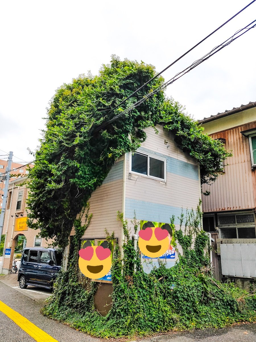 j-rakuda on Twitter: "ジブリハウスを地で行くスタイル https://t.co/ROumOK1UBB" / Twitter