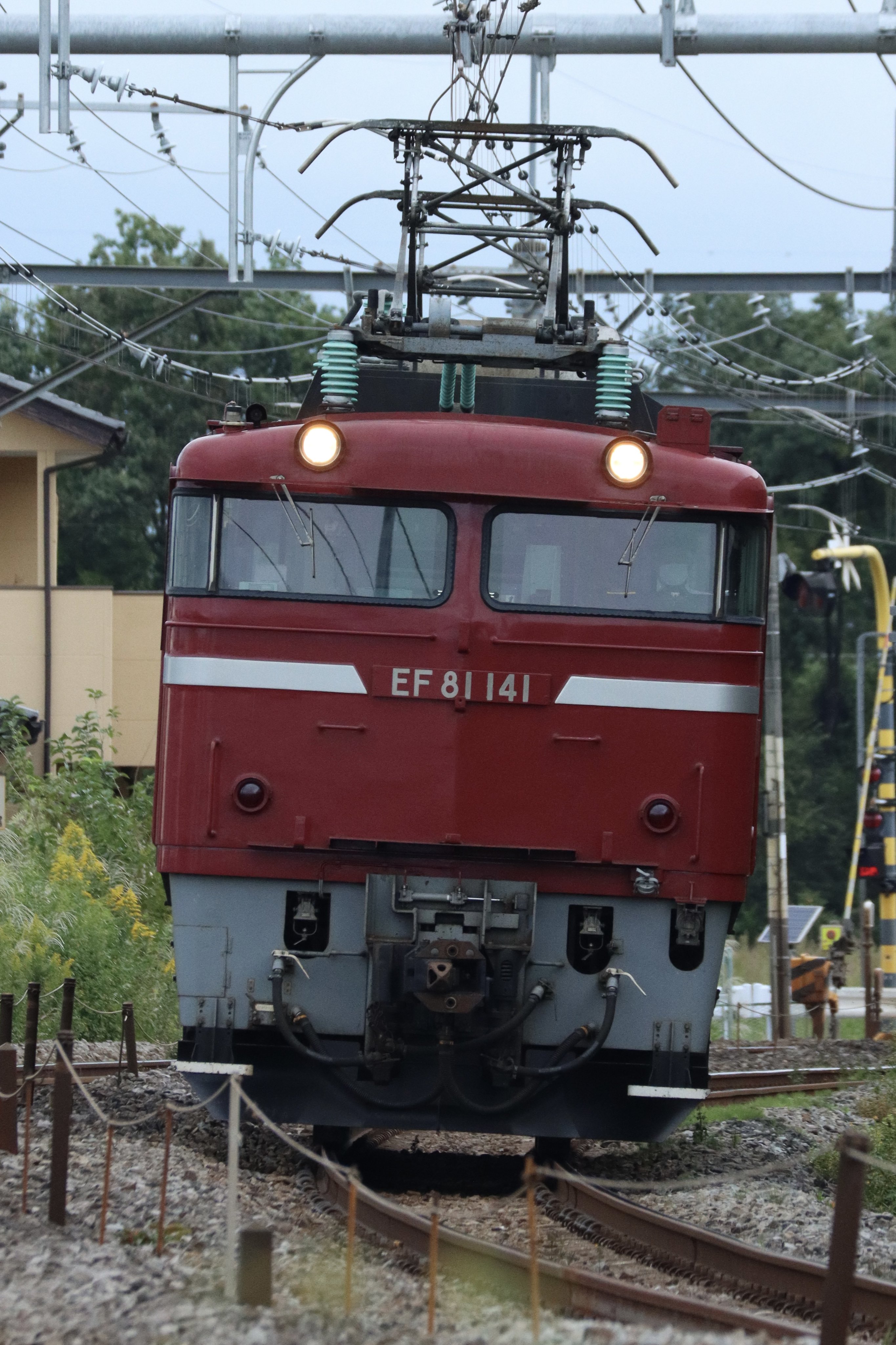 猫ヶ崎ミミ on Twitter: "10/5 EF81-139+K406 AT出場 EF81-141 https://t.co/knfrAO0A8r" / Twitter