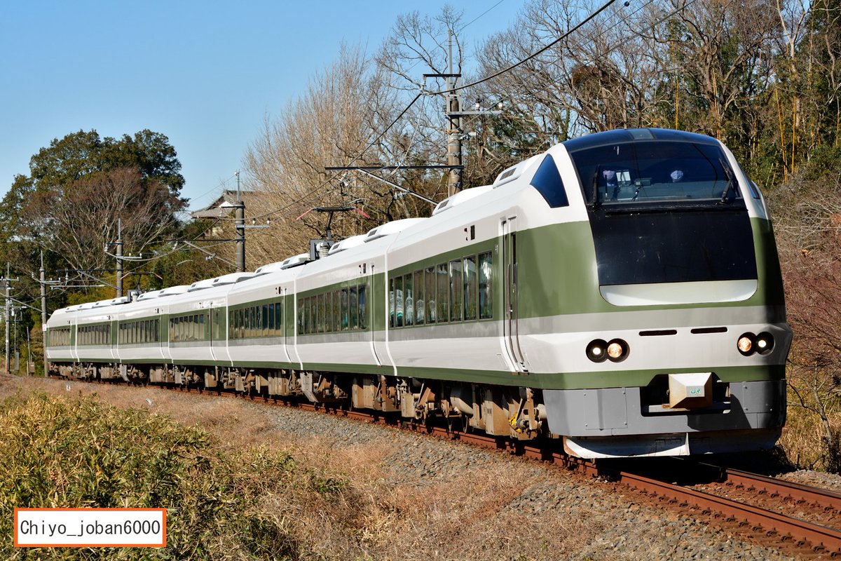 やまぶき on Twitter: "E653系の白山色とあさま色 白山色は絶対似合うだろうと思って制作。あさま色は逆に絶対似合わないだろうって思って制作。結局どっちも似合ったので結果オーライ。"
