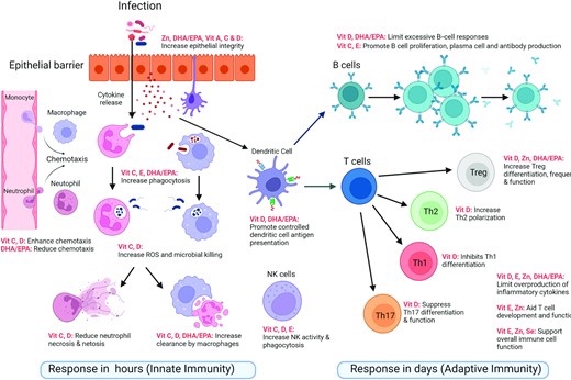 🥼Agingdoc1⭐MD, PhD 🔔 on Twitter: "Perspective: Role of Micronutrients and Omega-3 Long-Chain ...