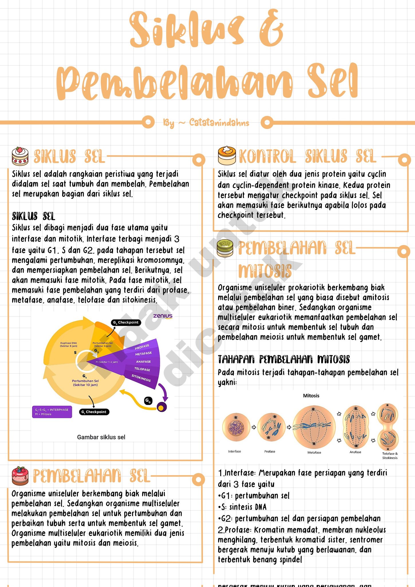 Siklus Sel Tahapan Siklus Sel Kontrol Pemelahan Sel Dan Mekanisme Sel