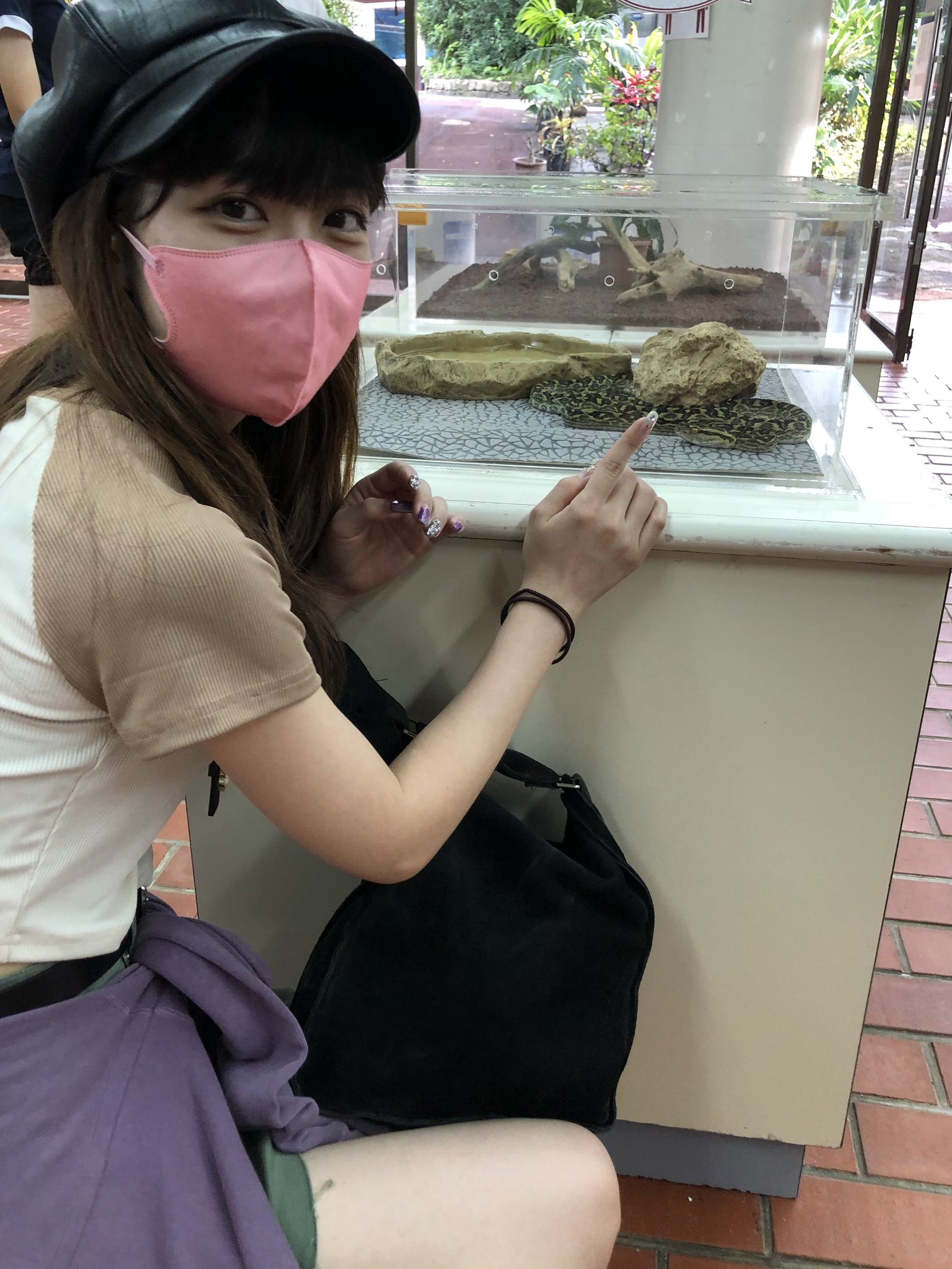 月日 萌花 on Twitter: "蛇ちゃんin沖縄🐍🪨 https://t.co/O1jSfLZ7Zu" / Twitter