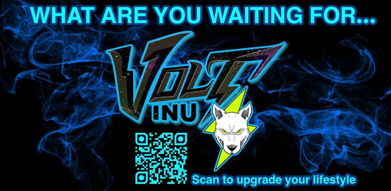 Volt Inu ⚡️ on Twitter: "RT @VoltInuOfficial: @Phemex_official We #VOLT till the end of the ...