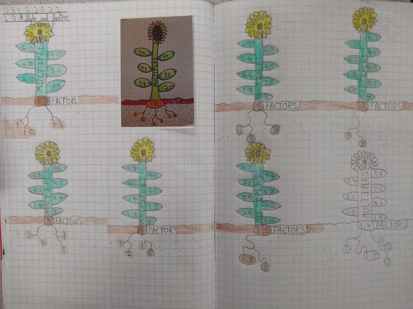 New Park Primary on Twitter: "Look at these beautiful factor flowers Y6 ...