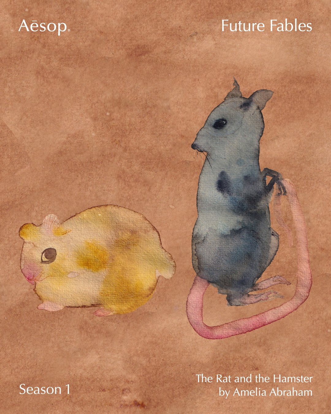 Aesop on Twitter: "The Rat and the Hamster—a fable by @MillyAbraham. A ...