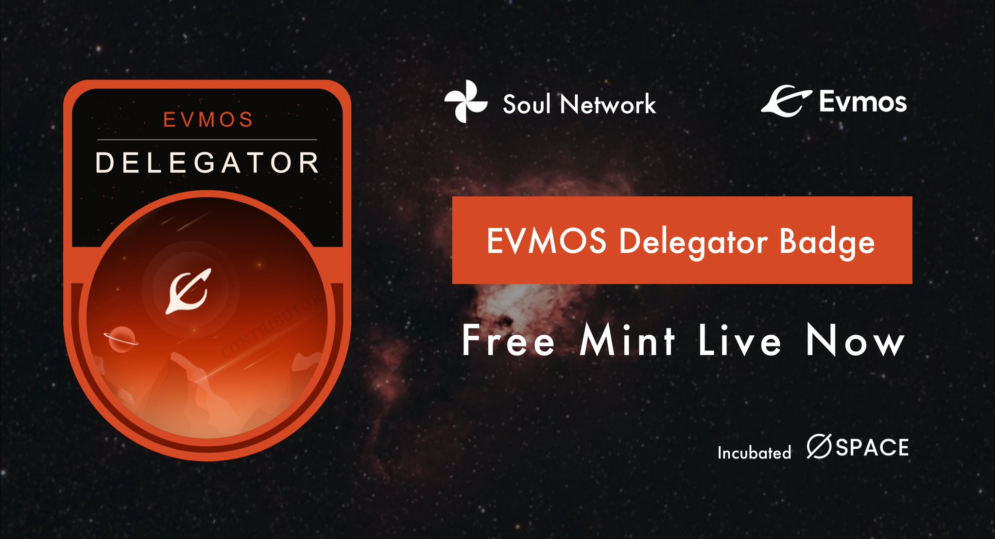 Soul Network on Twitter: "Announcing our launching on @EvmosOrg and Free Mint of Evmos Delegator ...
