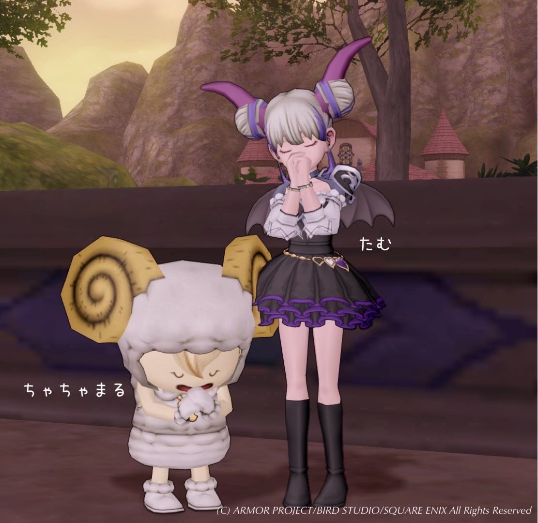 たむ (@dqx_tamutamu) / Twitter