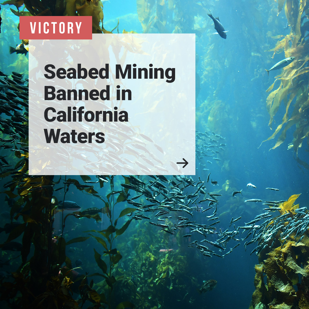 Carter Griffin 🇺🇲🇺🇦 on Twitter: "RT @Surfrider: The Surfrider Foundation is excited to announce ...