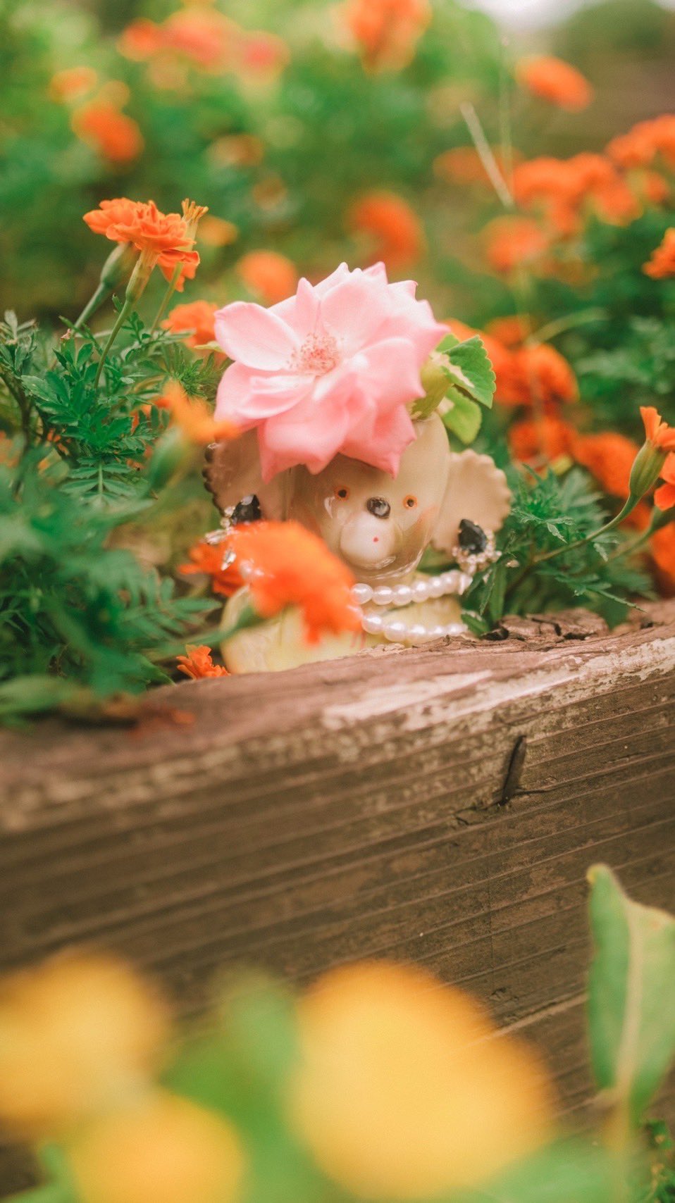 TAKASU TILE / 田舎暮らしの日常 on Twitter: "涼しい朝、おはようございます https://t.co/qe1cvsvaCT" / Twitter