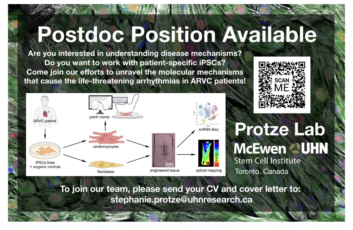 Stephanie Protze on Twitter: "We are hiring indeed. Come join our team in Toronto for an ...