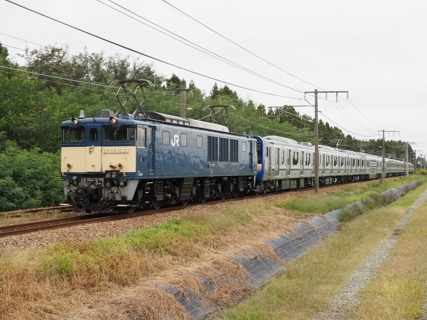 クロテツ007 on Twitter: "10月6日(木)、上り配給列車 。EF64-1031牽引、E235系 横ｸﾗ F-20編成。J－TREC新津・新製。越後石山から大船へ。 信越本線・帯 ...