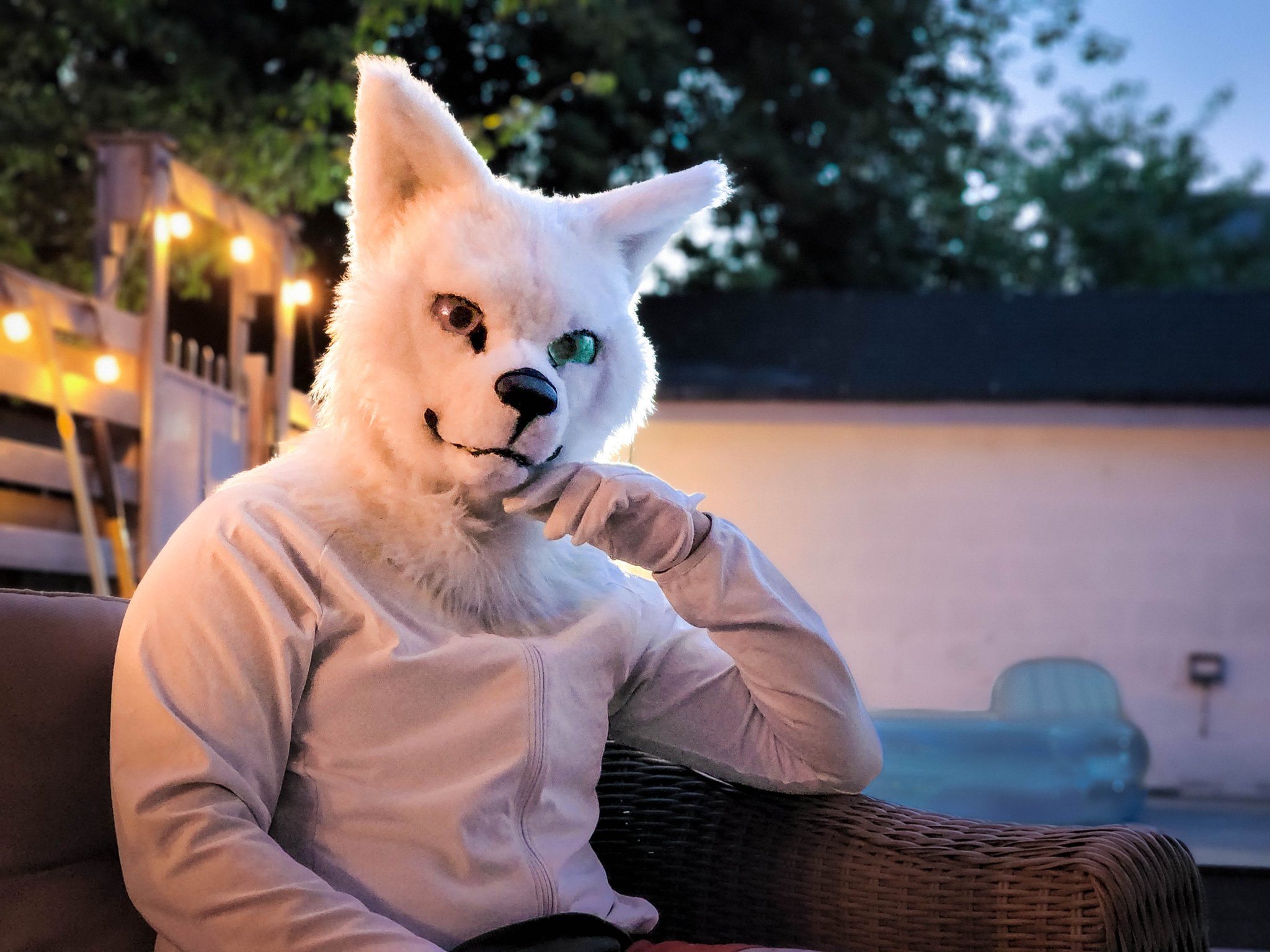 TangMo » NordicFuzzCon on Twitter: " @Crowwingwolf #FursuitFriday https://t.co/Uqi4KqPgyU" / Twitter