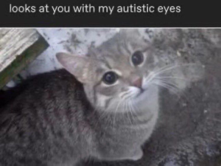 「And my regular comms are open right now too, starting at $35」Roller Carson 🎢の漫画