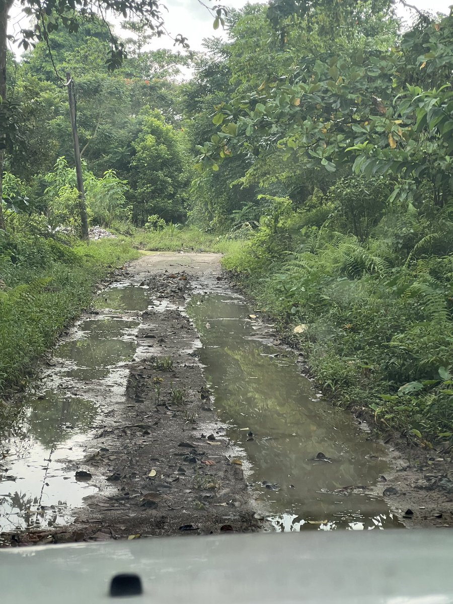 Marina Ibrahim's Threads – Thread Reader App