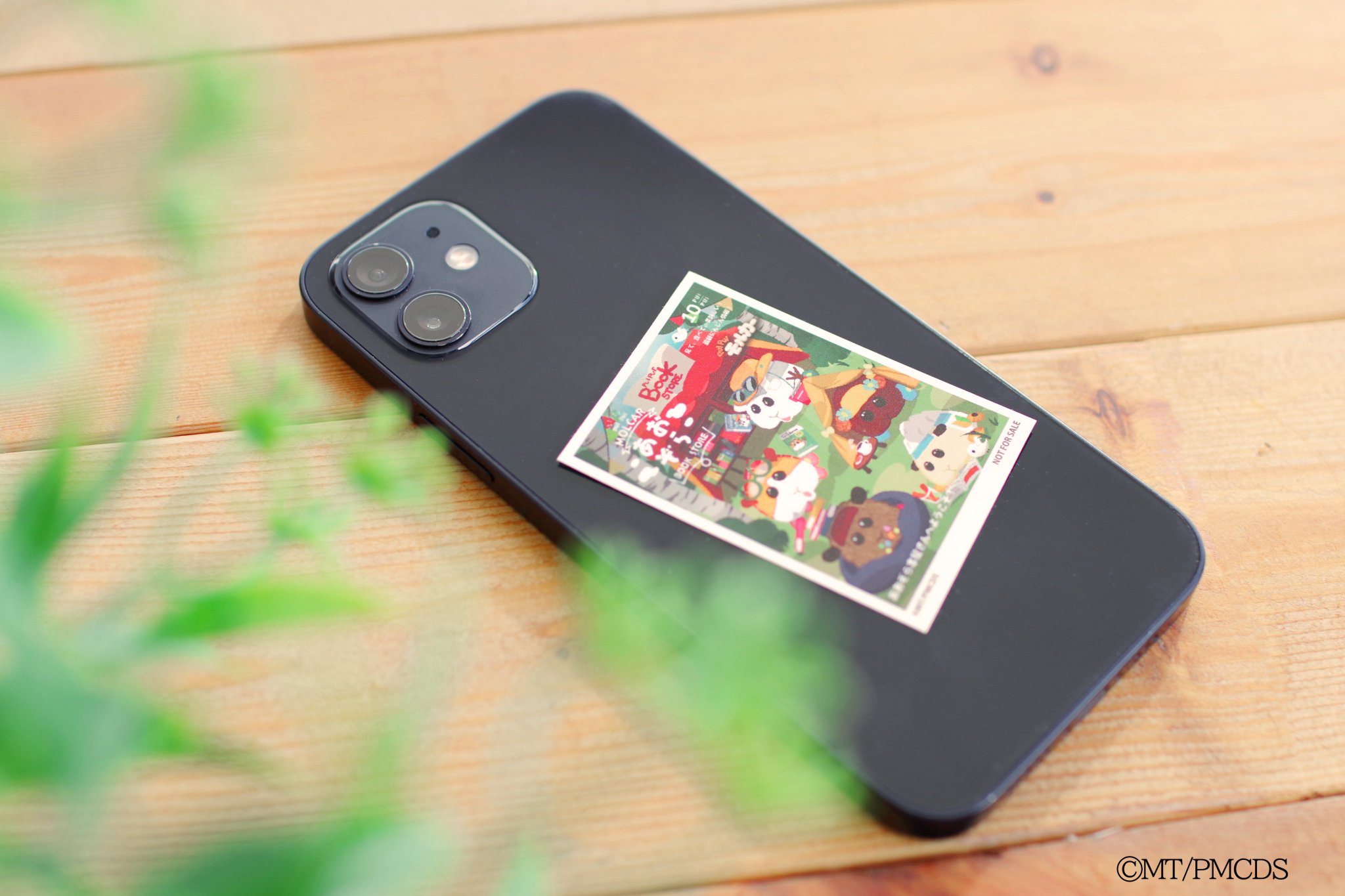 PUI PUI モルカー【公式】 on Twitter: "【明日から】 📚#PUIPUIモルカー あおぞら BOOK STORE📚 いよいよ明日10/7(金)から発売！ お取り扱い店舗も追加 ...