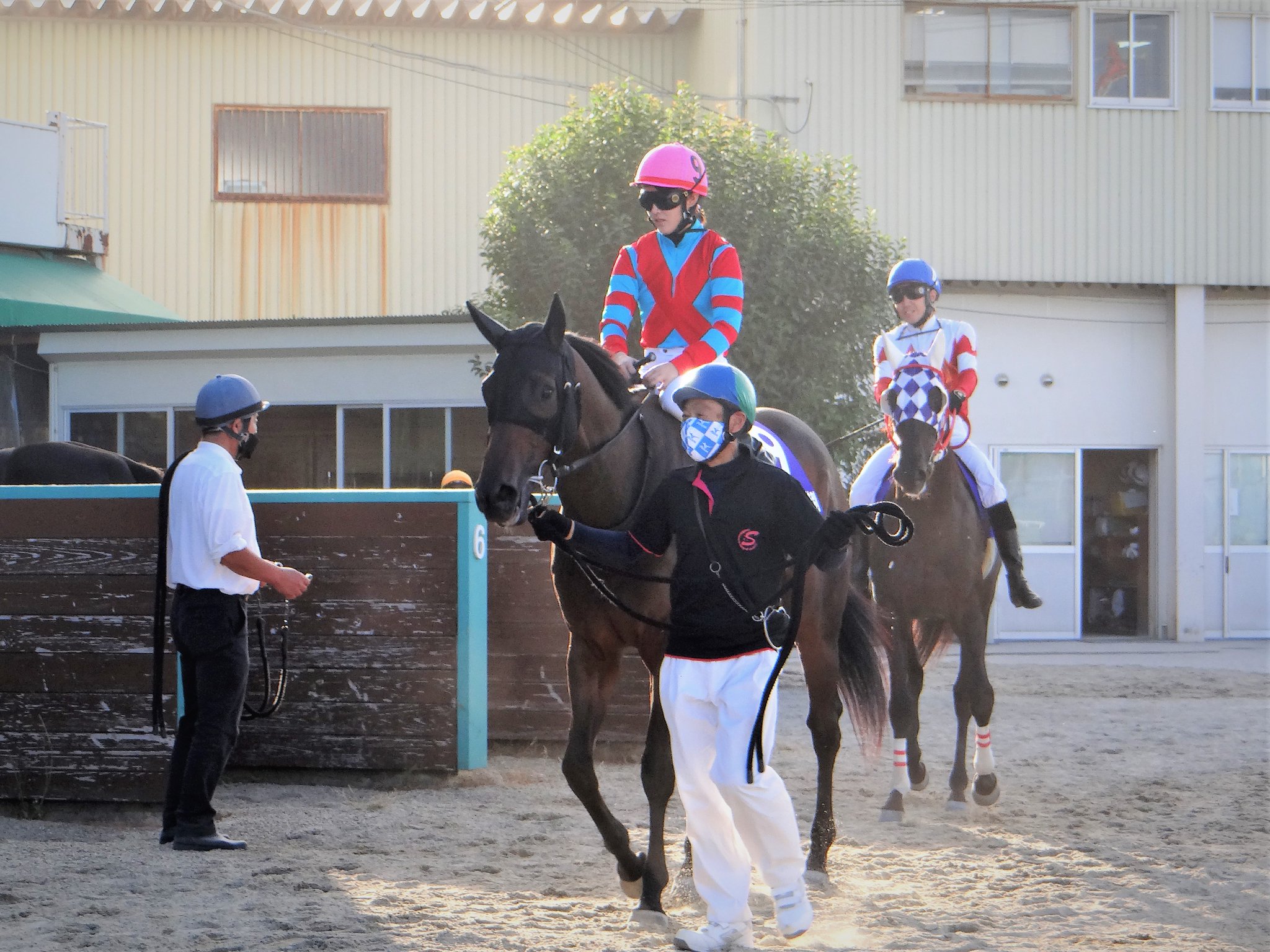 そのだメール☆ひめじメール on Twitter: "11R「JRA交流 円山川特別」は永島まなみ騎手騎乗のスペースフライト号（ｾﾝ4・JRA佐々木晶三きゅう舎）が3番手追走から3コーナーを ...