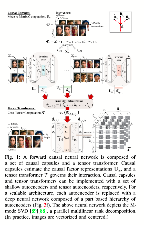 M. Alex O. Vasilescu on Twitter: "RT @AlexTensor: Causal Deep Learning -- ICPR'22 @IAPR_TC12 ...