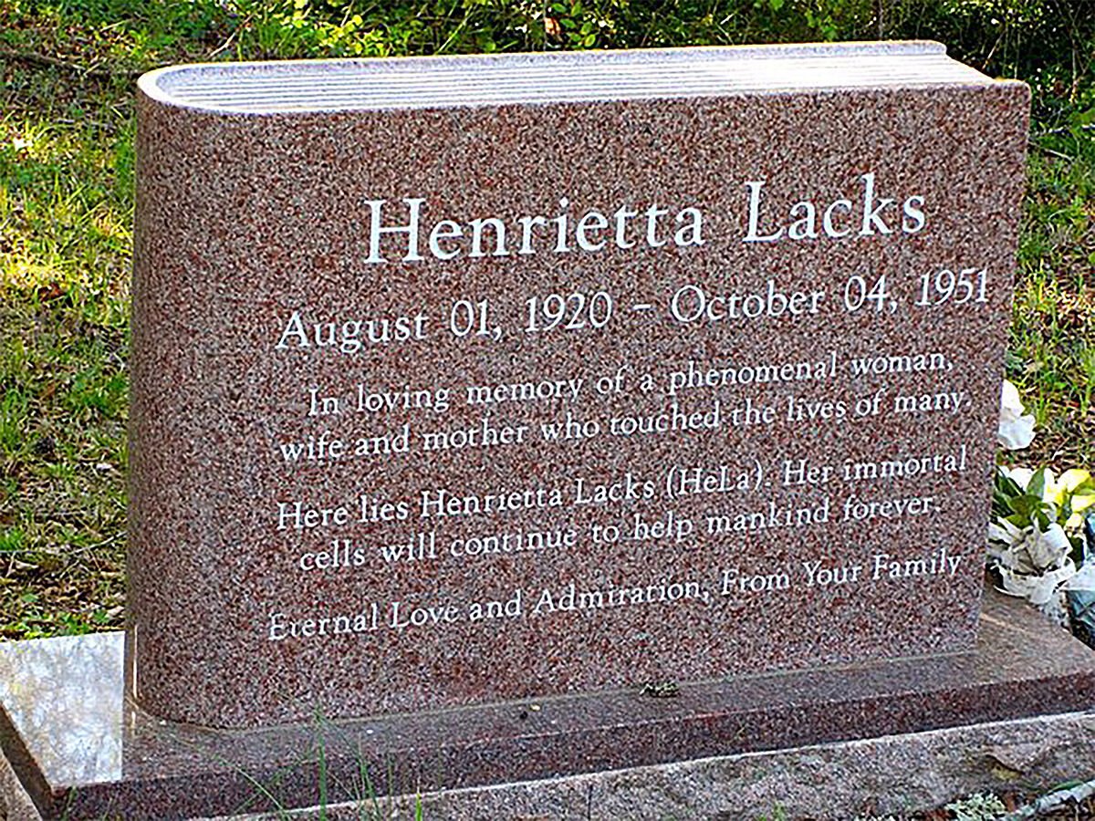 Vagina Museum on Twitter: "This week in 1951, Henrietta Lacks died from ...
